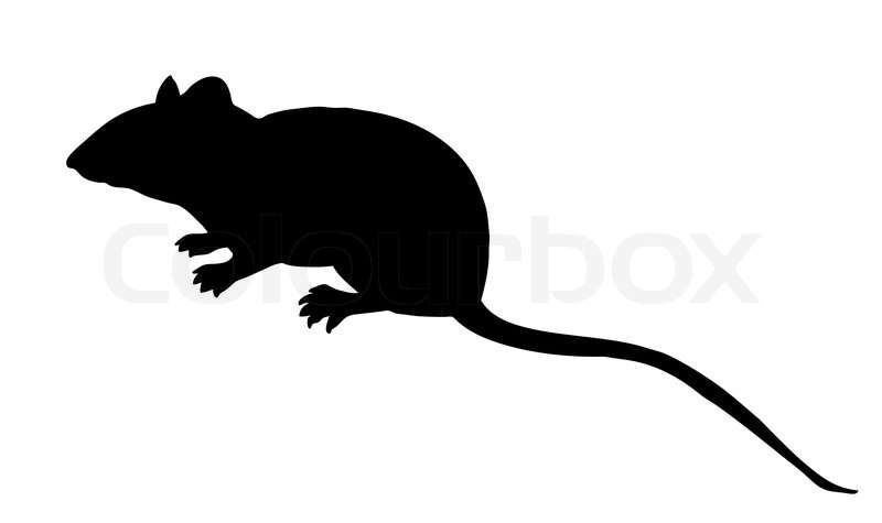 Vector silhouette mouse on white background | Stock Vector | Colourbox