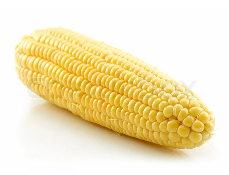 Ripe Yellow Corn Isolated on White ... | Stock image | Colourbox