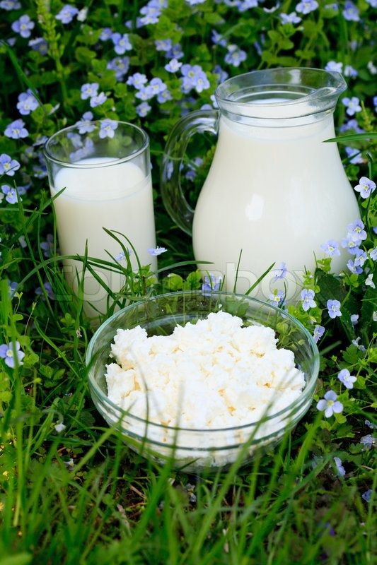 Milchprodukte auf dem Rasen : Milch und ... | Stock Bild | Colourbox