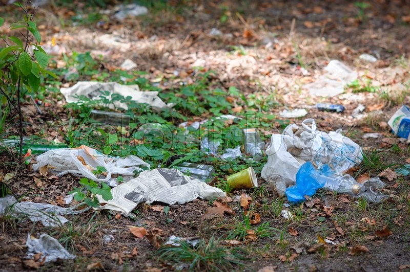 Trash in the park and forest, big ... | Stock image | Colourbox