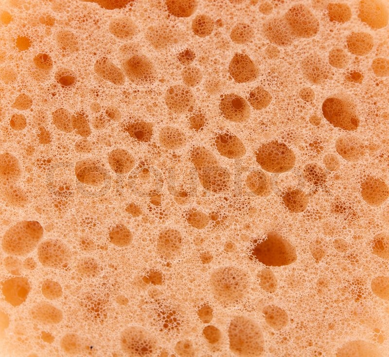 High-resolution sponge texture ... | Stock image | Colourbox