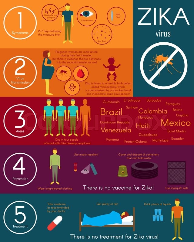 Infographic Zika