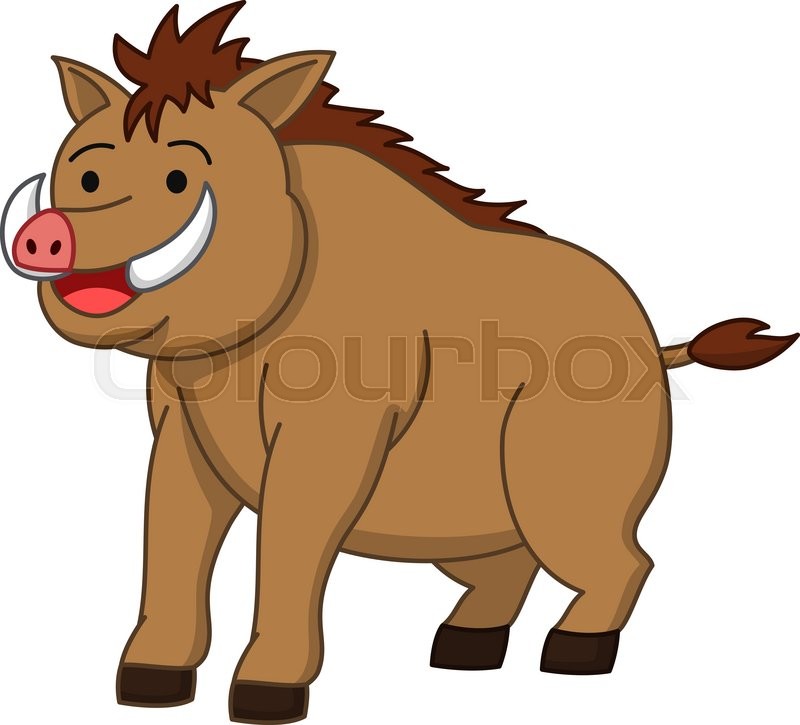Wild boar cartoon illustration | Stock vector | Colourbox