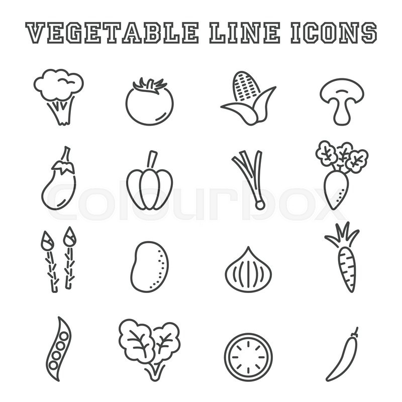 Vegetable line icons, mono vector ... | Stock vector | Colourbox