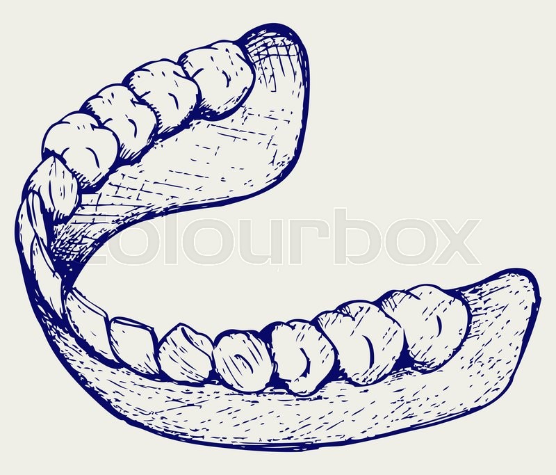 Human jaw. Illustration in doodle ... | Stock vector | Colourbox