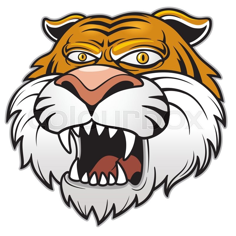 Vector illustration of Tiger head | Stock vector | Colourbox