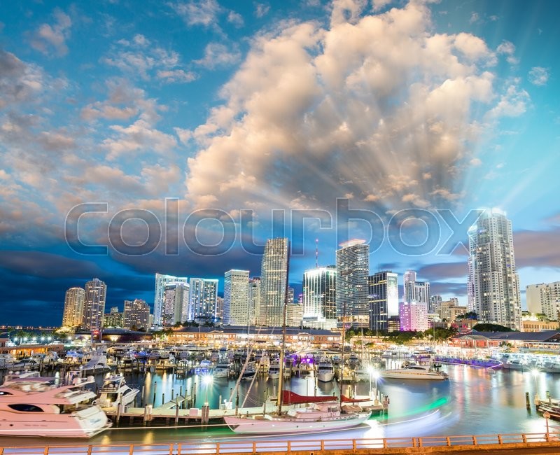 Miami Night Hd