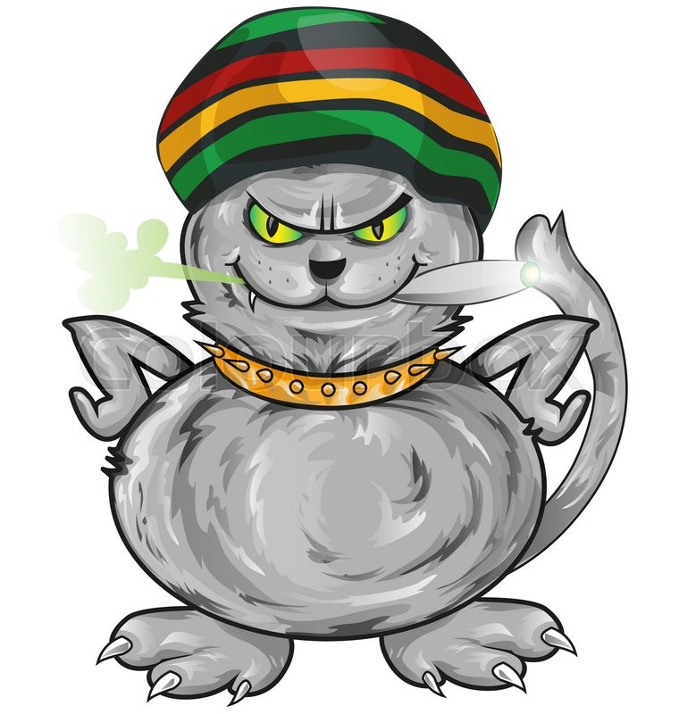 Fun jamaican cat isolated on white ... | Stock vector | Colourbox