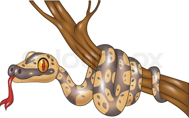 Vector illustration of Cartoon snake ... | Stock vector | Colourbox