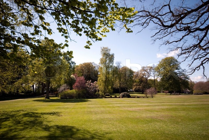 Lawn and springtime in a Danish park | Stock image | Colourbox