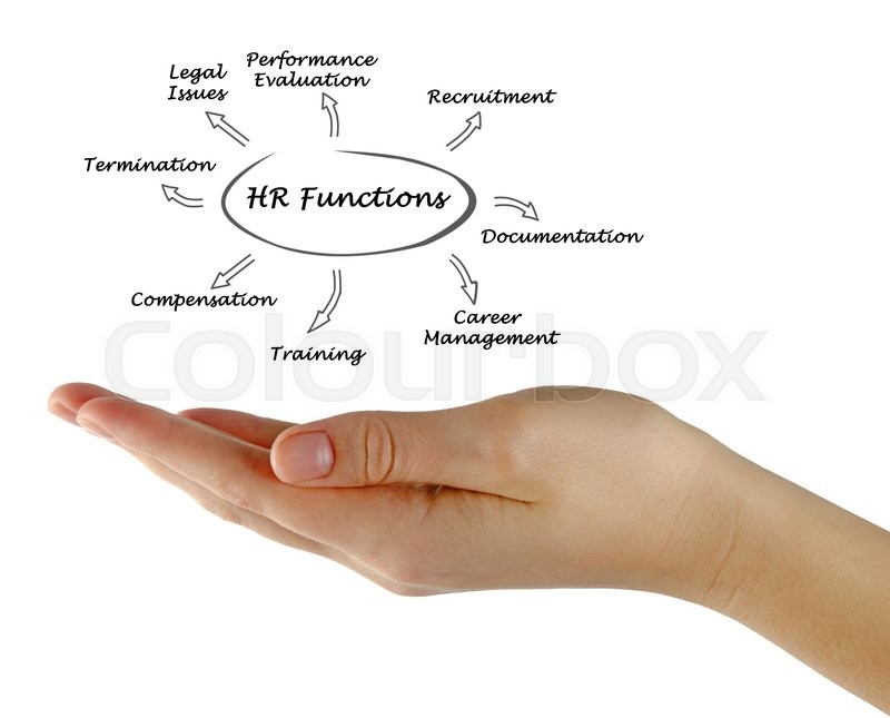 Diagram of HR Functions | Stock image | Colourbox