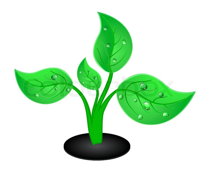 Vector green plant with water drops | Stock vector | Colourbox