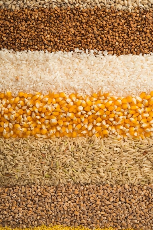 Collection Set of Cereal Grains: ... | Stock image | Colourbox