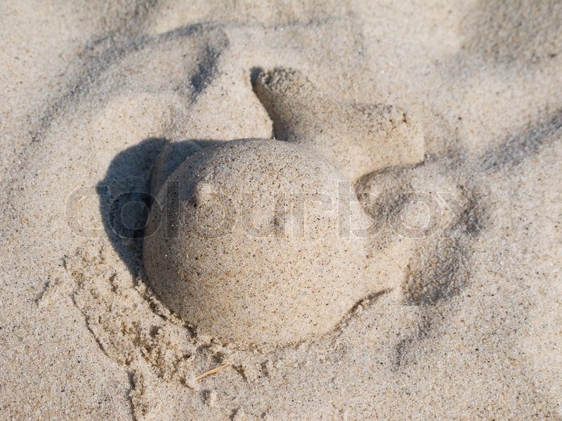 Fish out of sand on a beach, sandbox, ... | Stock image | Colourbox