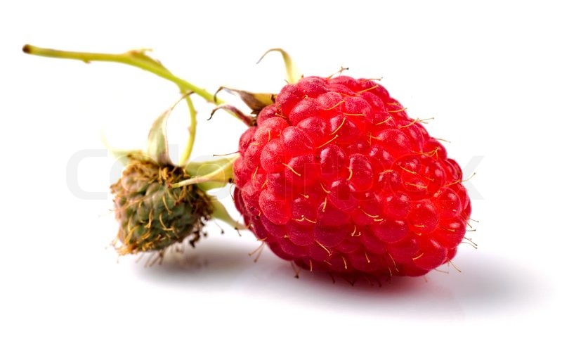 Raspberries with green berry isolated ... | Stock image | Colourbox