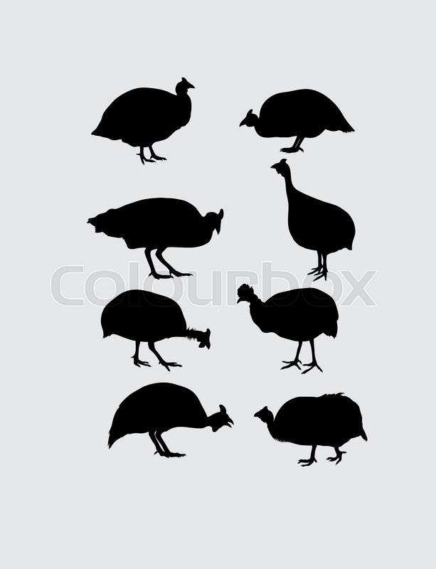 Guinea Fowl Silhouettes, art vector ... | Stock vector | Colourbox