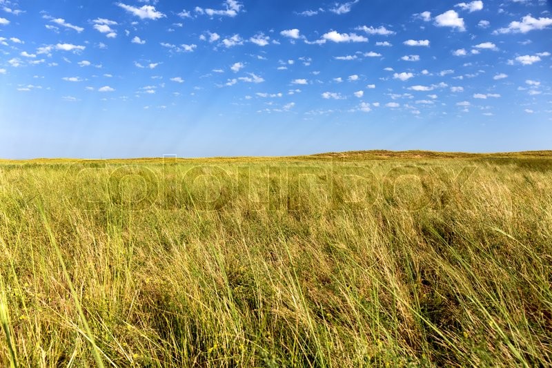 Kazakh Steppe