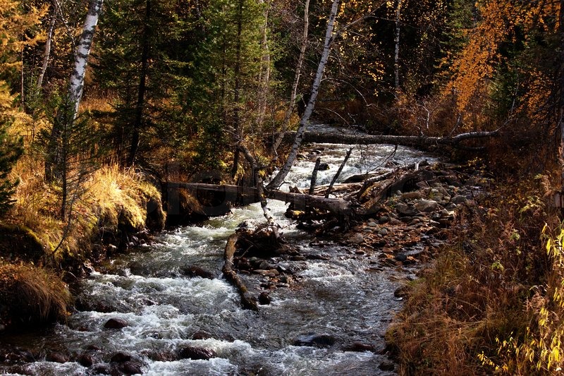 Fluss in herbstliche Wald | Stock Bild | Colourbox