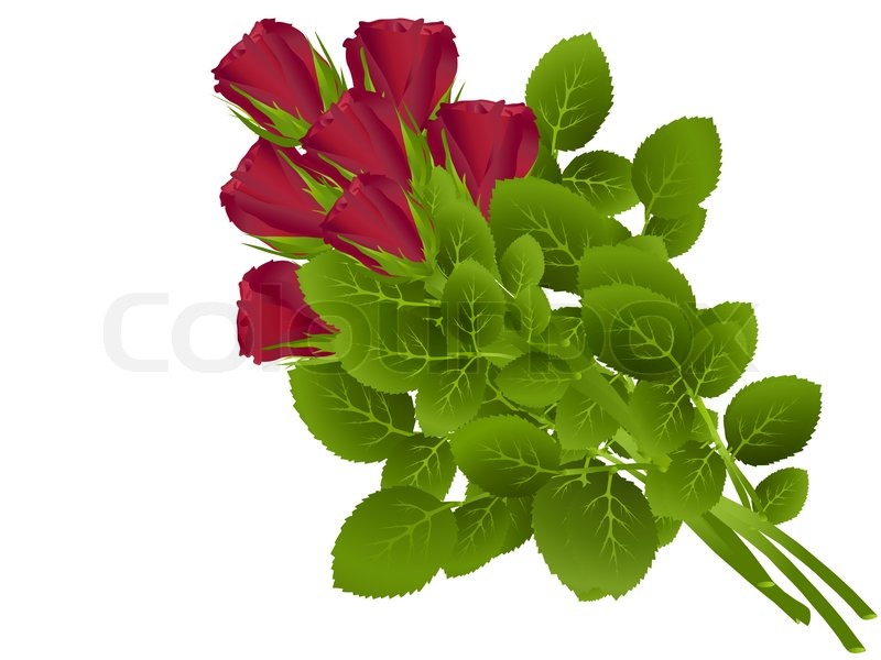 Illustration of red seven rose bouquet ... | Stock image | Colourbox