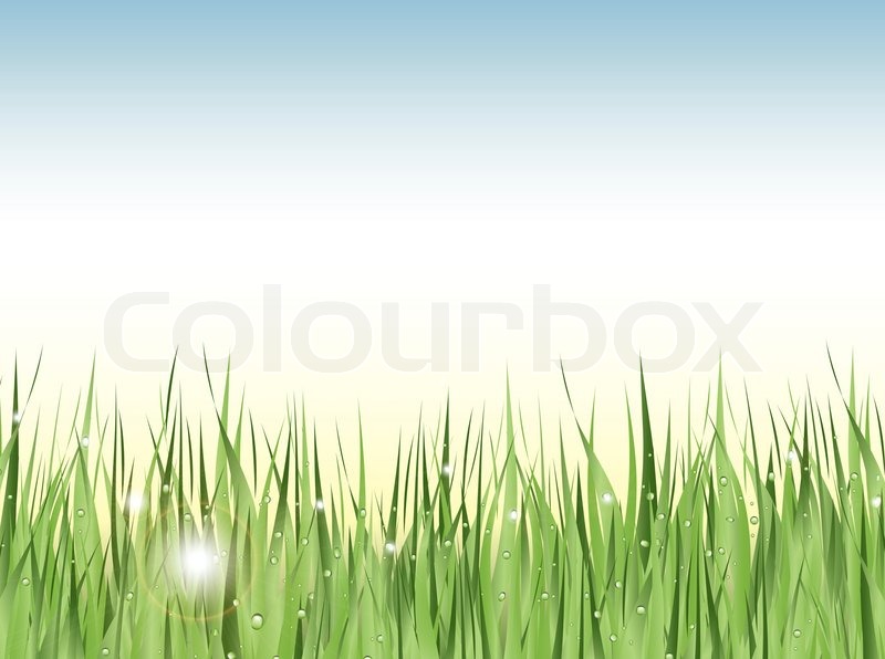 Illustration of green wet grass against ... | Stock image | Colourbox