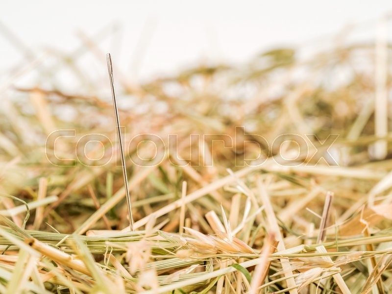 A needle is in the haystack. icon photo ... | Stock image | Colourbox