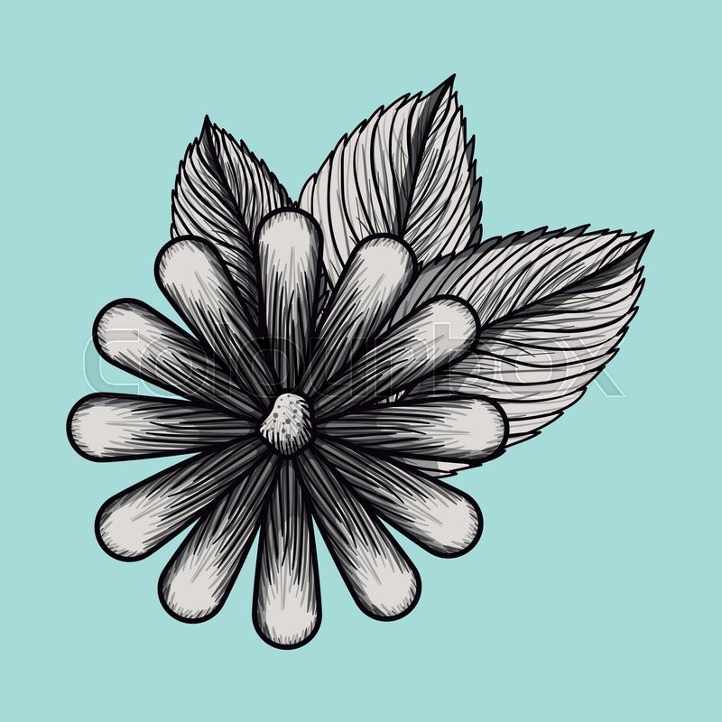 Flower drawing design, vector ... | Stock vector | Colourbox