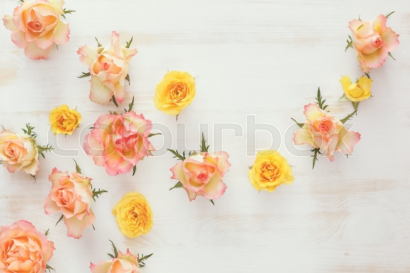 Real Roses Backgrounds