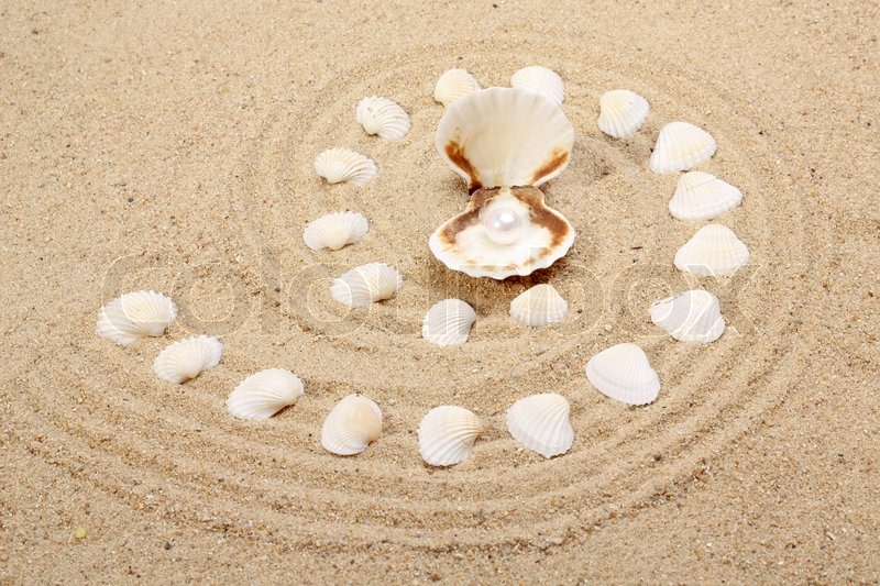 Perle an der Muschel. | Stockfoto | Colourbox