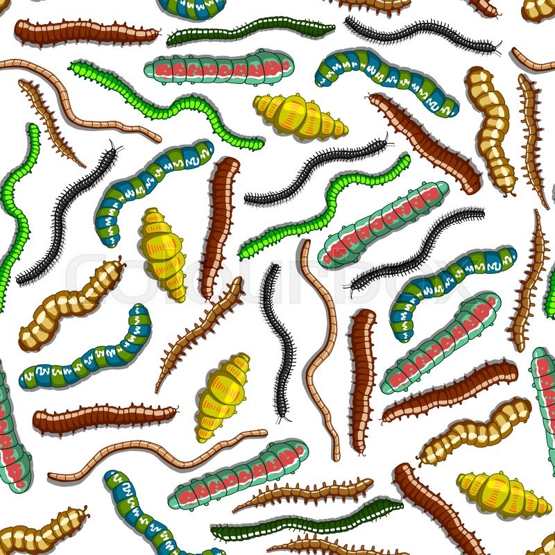 Cartoon seamless colorful worms, ... | Stock vector | Colourbox