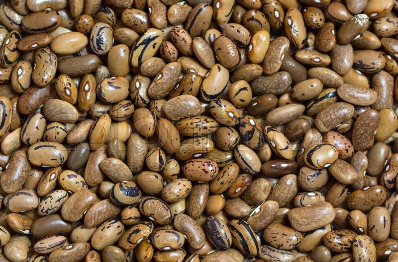 Background bean seeds Nobody ... | Stock image | Colourbox