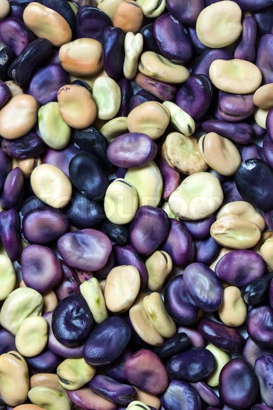Background bean seeds Nobody ... | Stock image | Colourbox