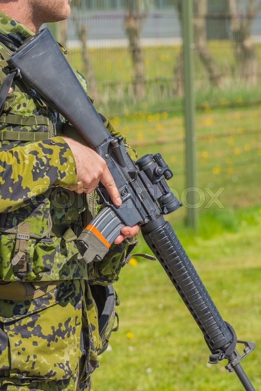Dansk soldat med gevær på vagt | Stock foto | Colourbox