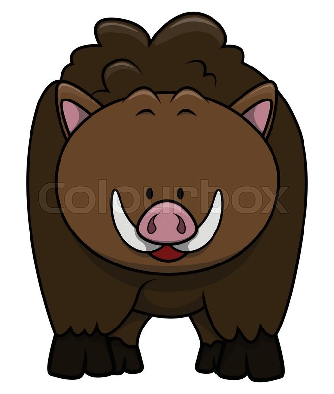 Wild boar cartoon illustration ... | Stock vector | Colourbox