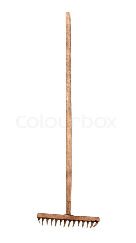 White background, rake | Stock image | Colourbox