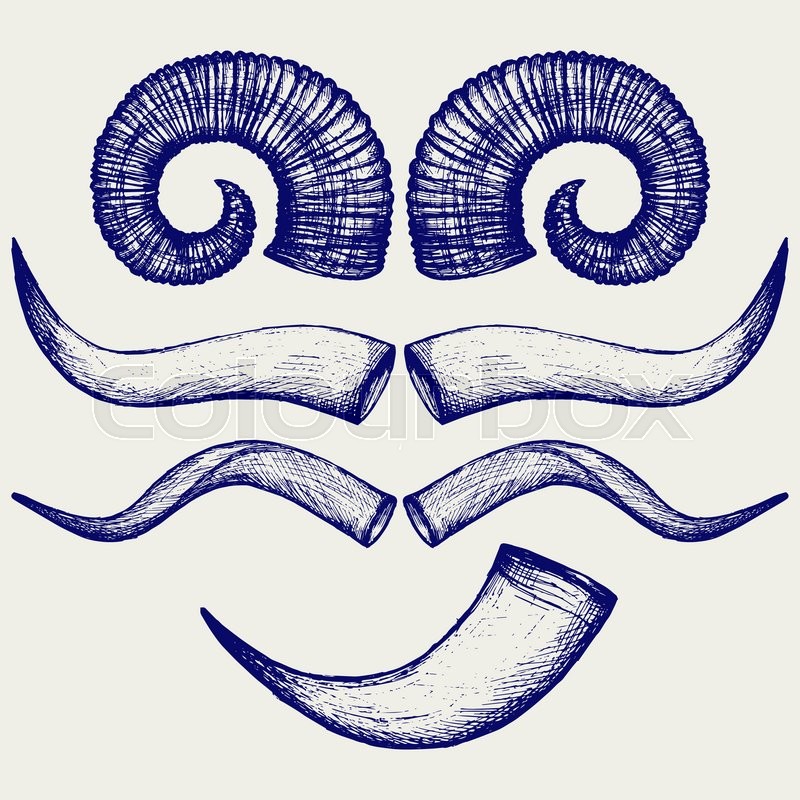 Set animal horns. Doodle style | Stock vector | Colourbox