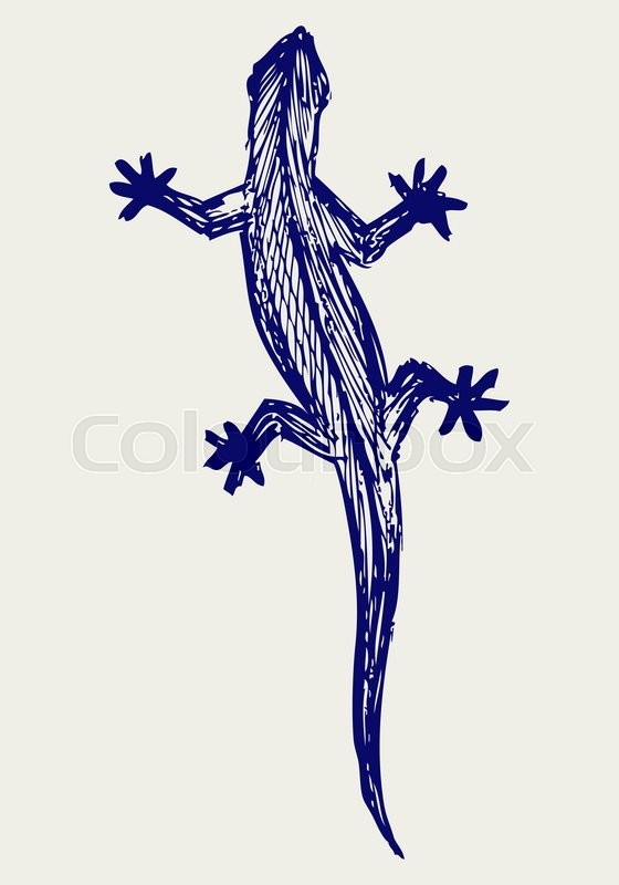 Silhouette of a gecko. Doodle style | Stock vector | Colourbox