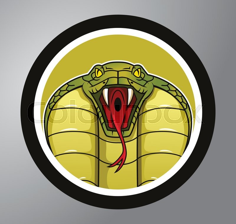 Cobra sticker banner | Stock vector | Colourbox