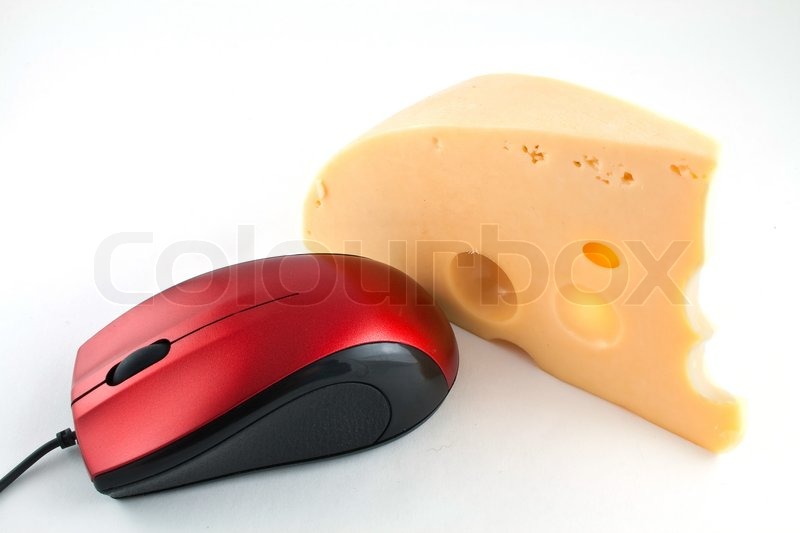 Computer mouse also loves cheese | Stock image | Colourbox
