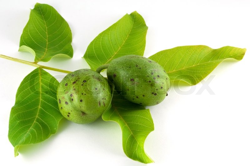 Walnuts are isolated on a white ... | Stock image | Colourbox