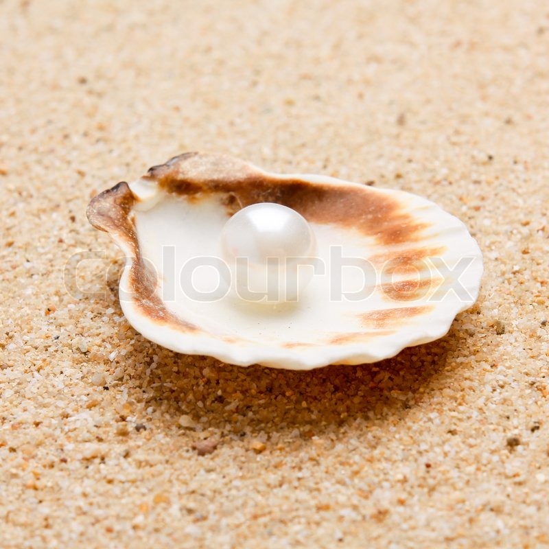Pearl on the seashell . The exotic sea ... | Stock image | Colourbox