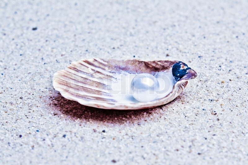 Pearl on the seashell . The exotic sea ... | Stock Photo | Colourbox