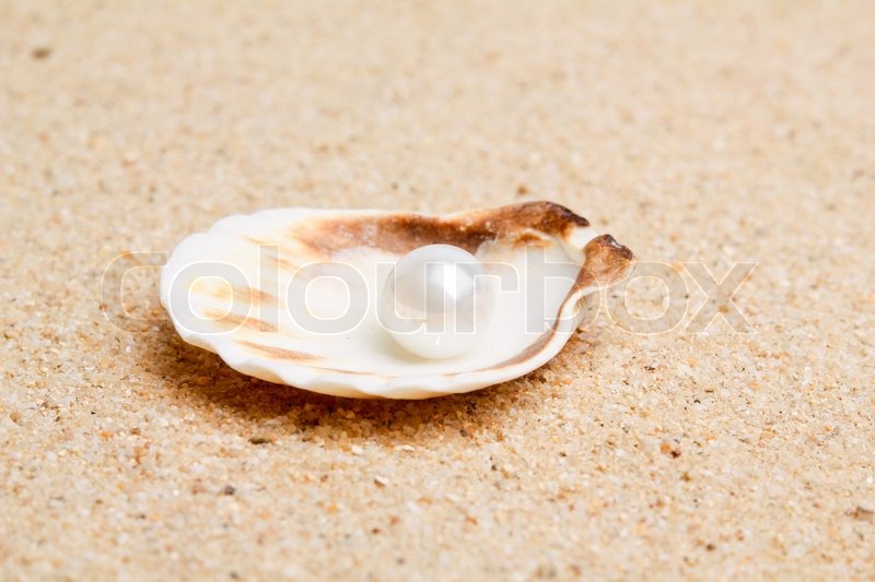 Perle an der Muschel. | Stock Bild | Colourbox