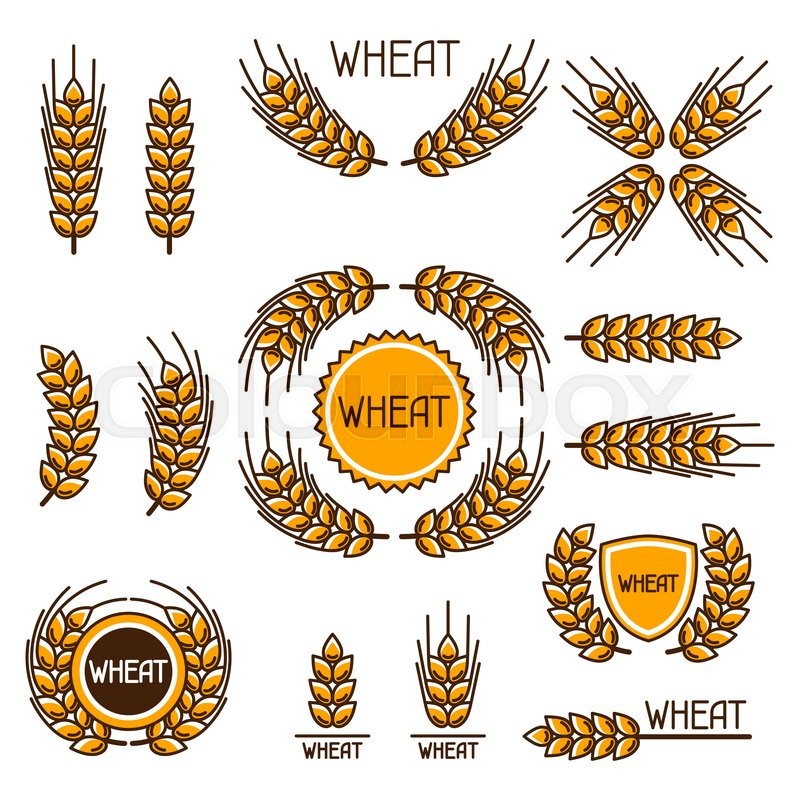 Design elements with wheat. ... | Stock vector | Colourbox