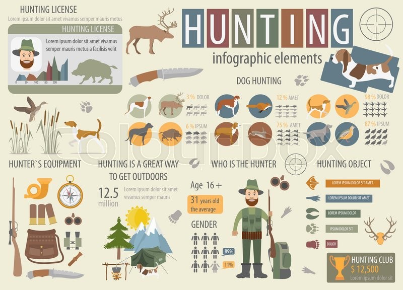 Hunting infographic template. Dog ... | Stock vector | Colourbox