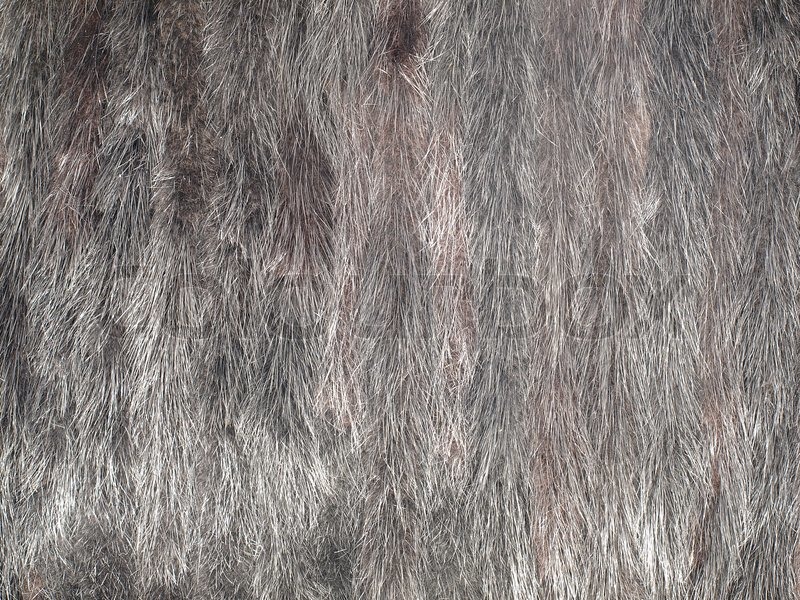 "Mink fur texture closeup as ... | Stock image | Colourbox