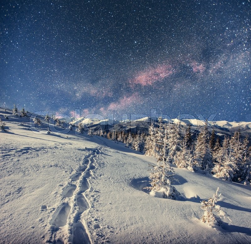 Winter Beautiful Night Stars