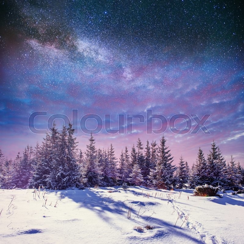 Starry sky in winter snowy night. ... | Stock image | Colourbox