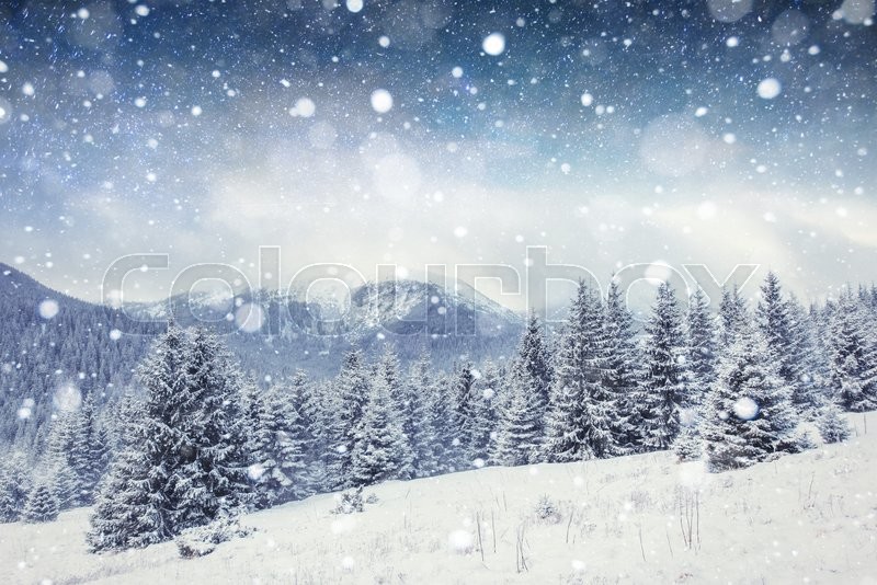 Starry sky in winter snowy night. ... | Stock image | Colourbox