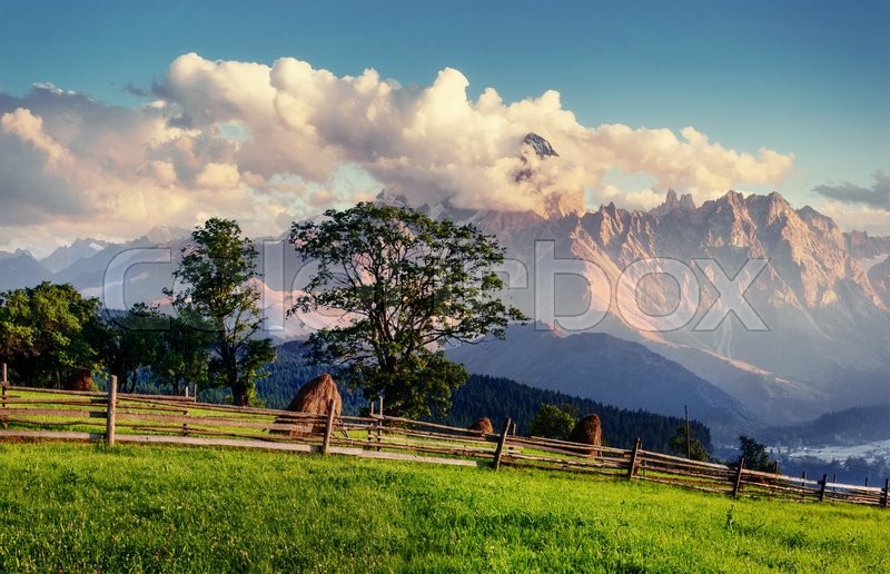 Alps mountain meadow tranquil summer ... | Stock Photo | Colourbox