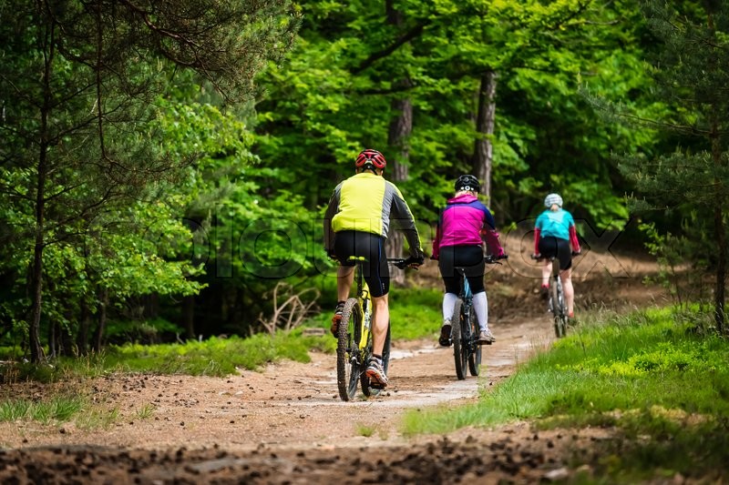Group of cyclists on the forest trail ... | Stock image | Colourbox